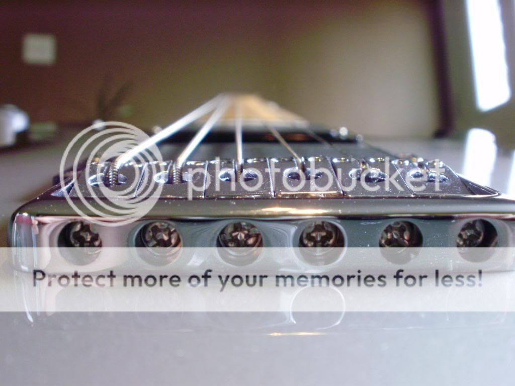 PRS Mike Mushok with EMGs | SevenString.org