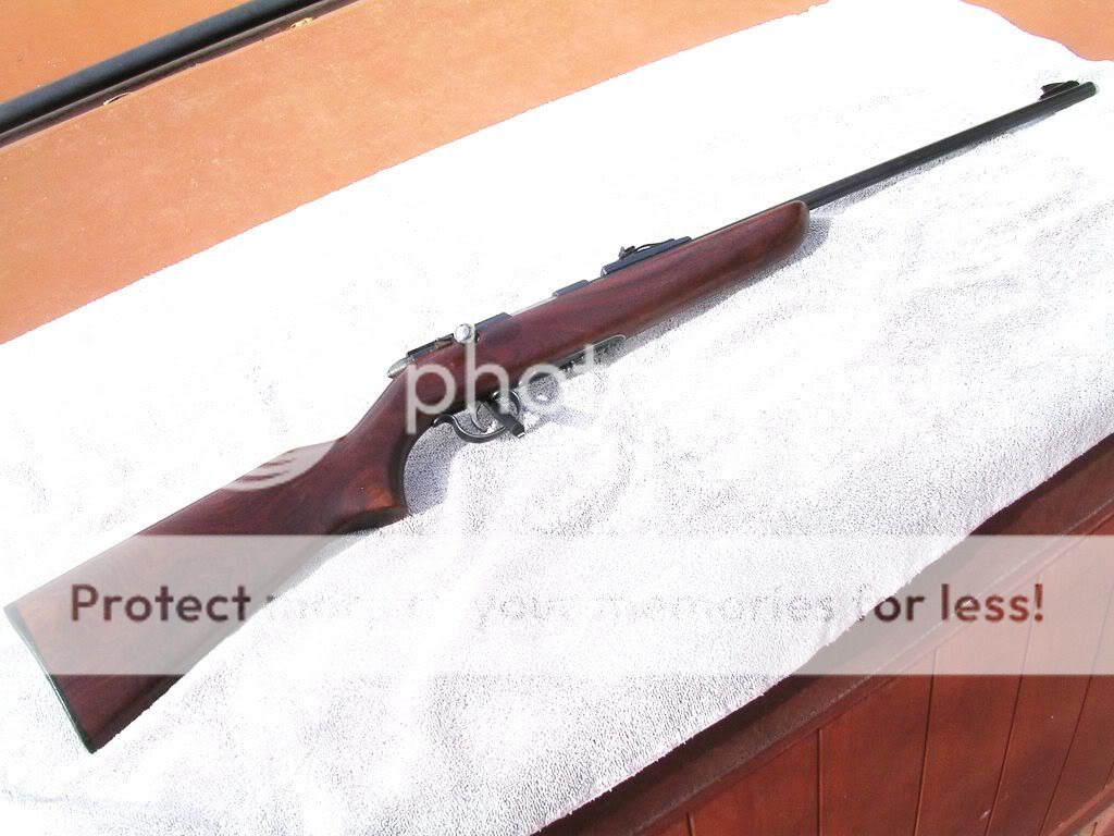 Remington 511X | Rimfire Central Firearm Forum