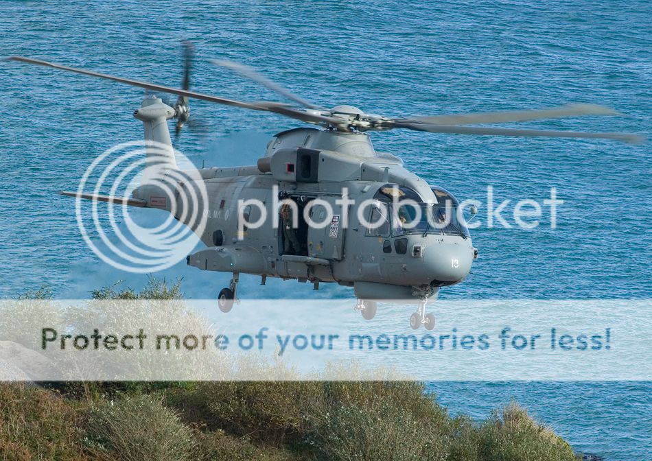 Indian Merlin & friends - FighterControl