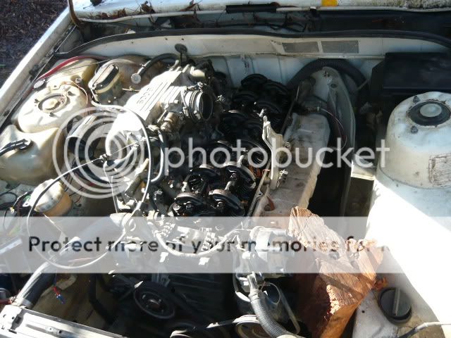 [VIC] - vl rolling shell $100 or best offer | Just Commodores