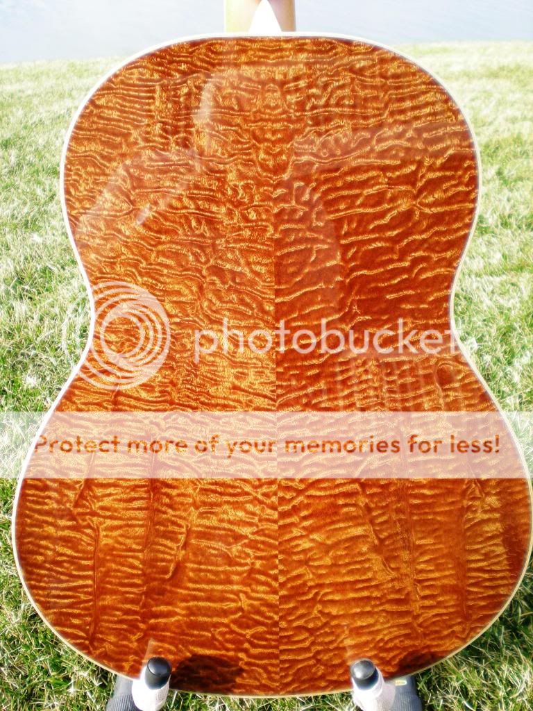 Mahogany fans, check this out! - Acoustic Guitars - Harmony Central