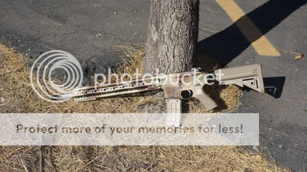 SIONICS Weapon Systems/Axelson Commemorative SPR